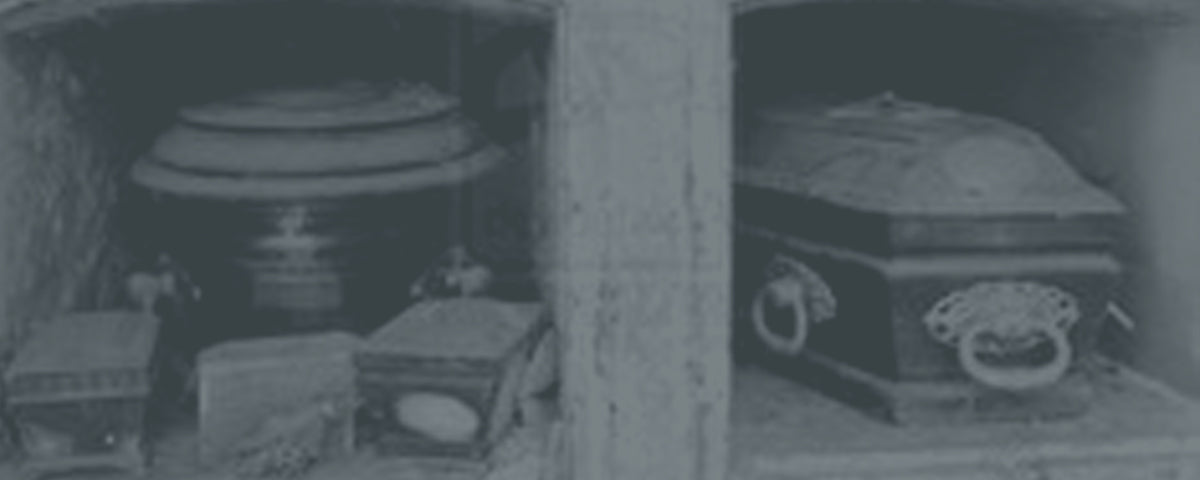 BLITZKID COLLECTION – acwnnstore